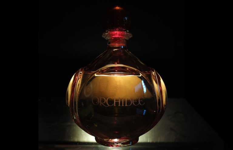 Proibição do Lança Perfume: História e Impactos